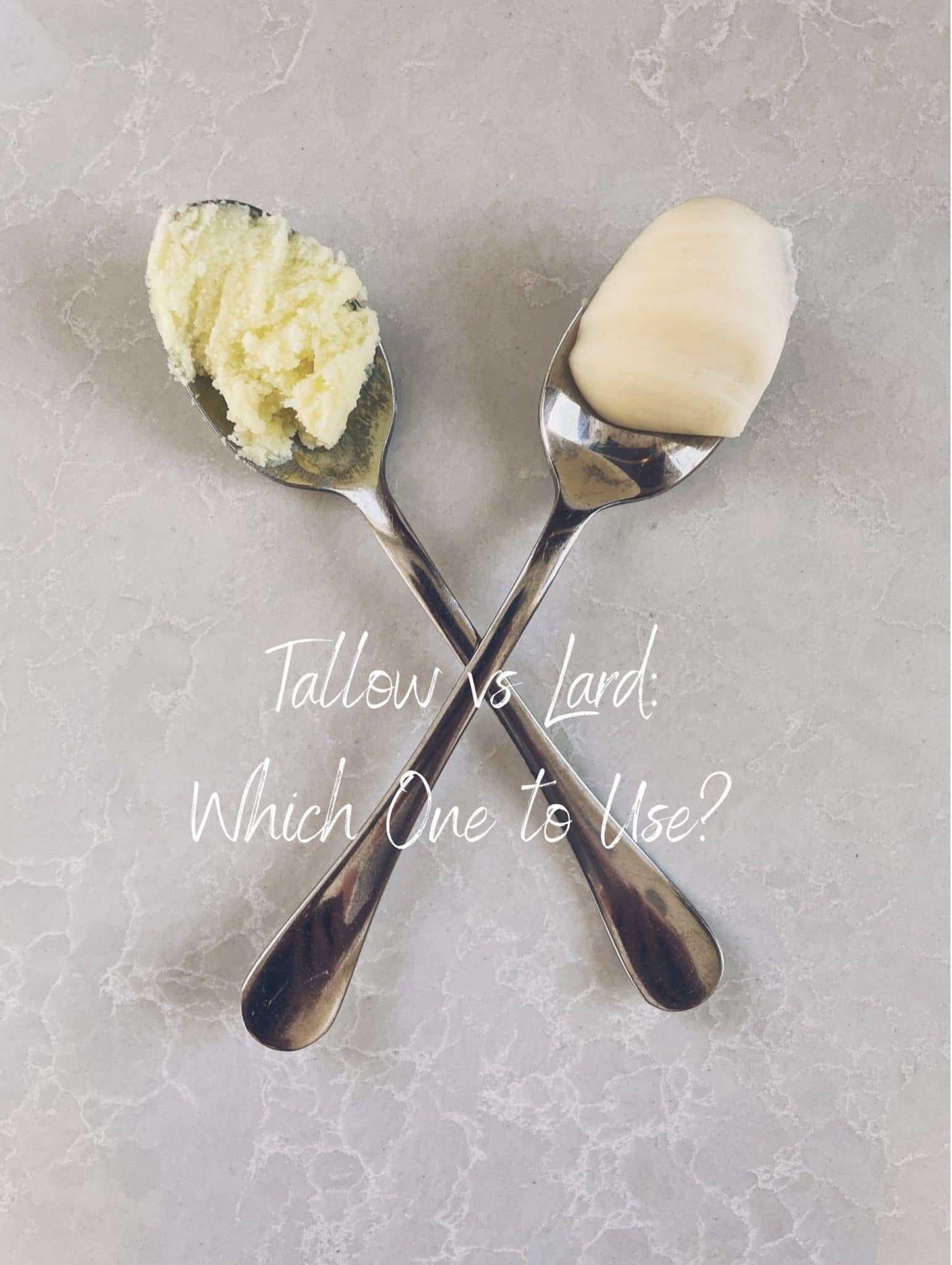 Tallow vs Lard: Which One to Use? - The Homesteading RD