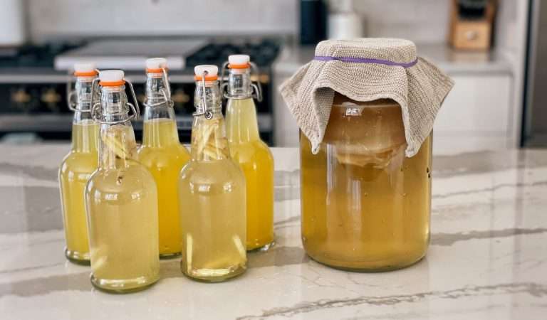 The BEST Kombucha Ratio for a Tasty Brew - The Homesteading RD