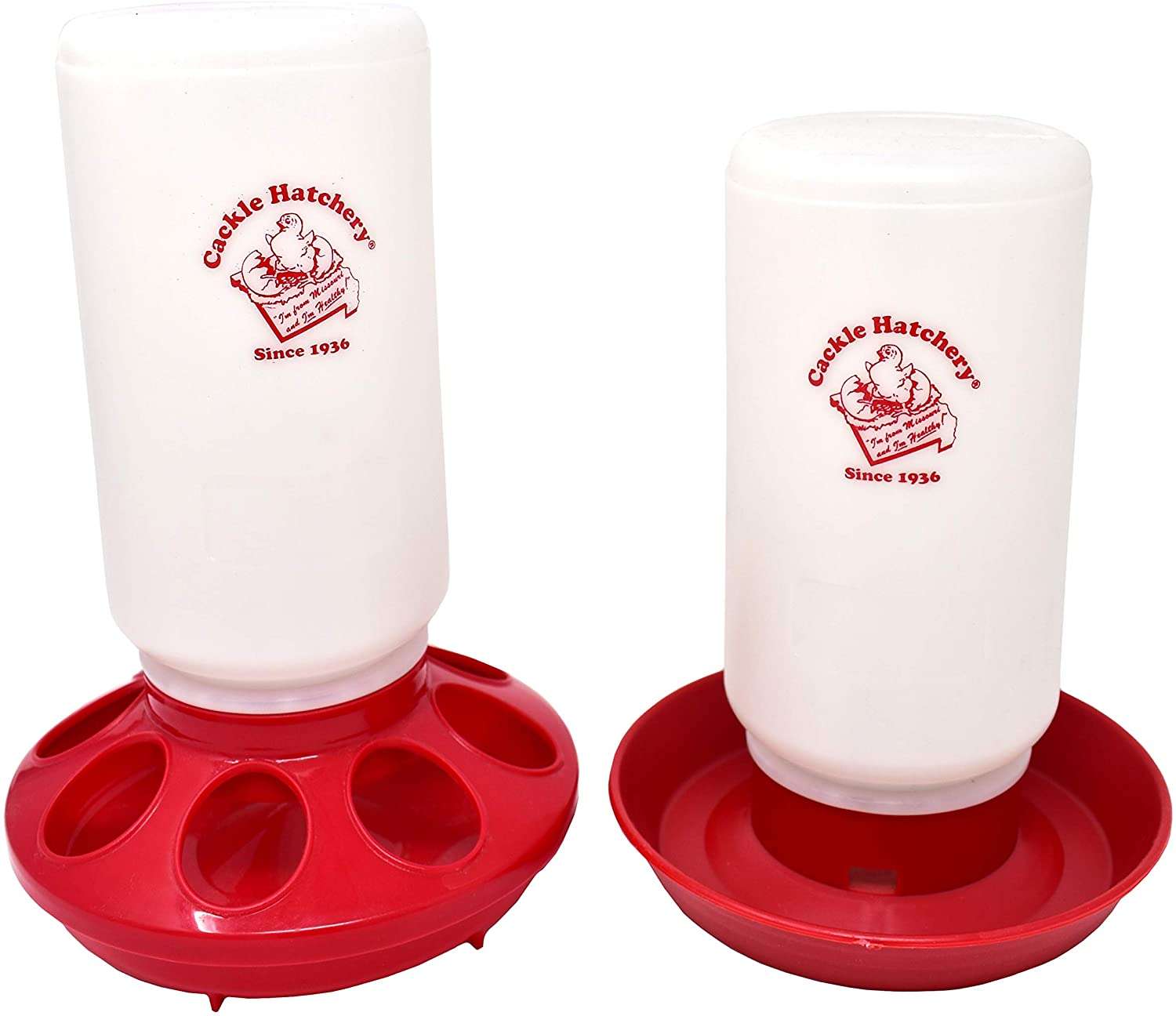 Raising Baby Chicks – A Beginner’s Guide