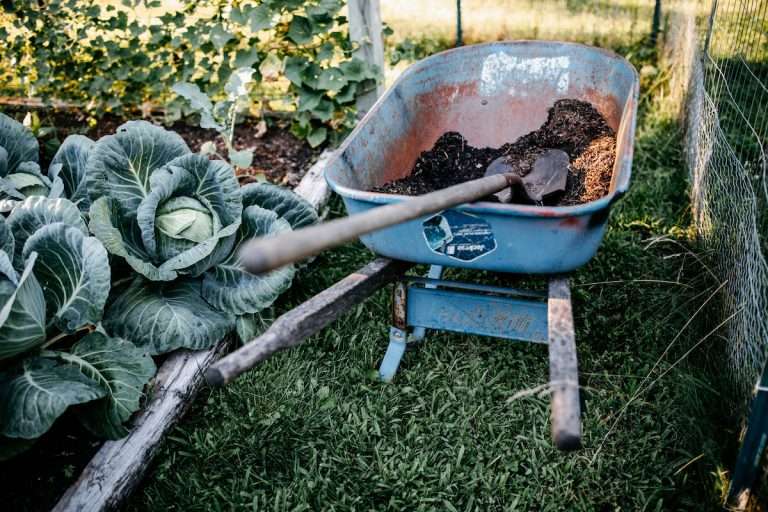 About - The Homesteading RD