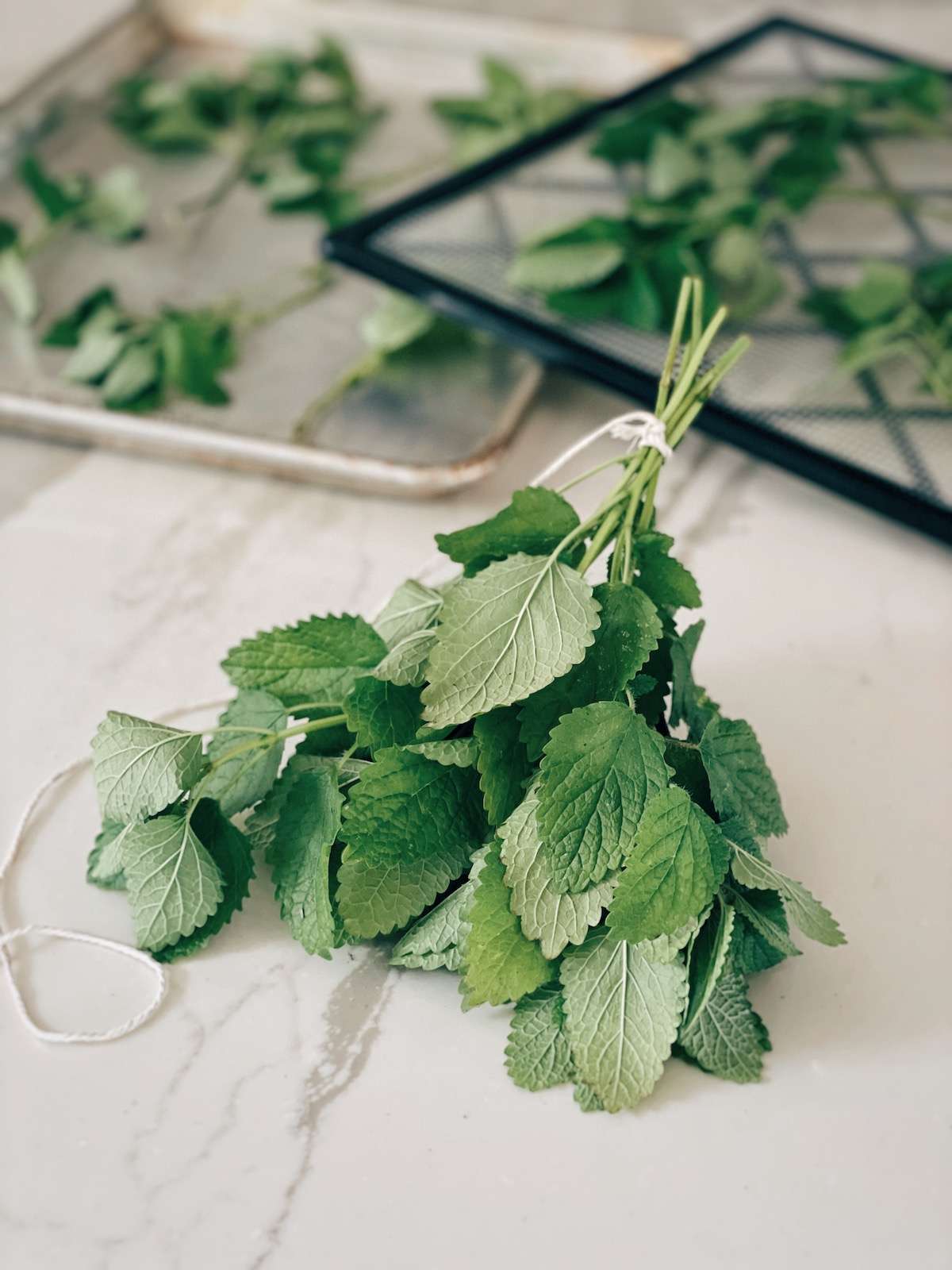 11 Lemon Balm Recipes Chef Olu