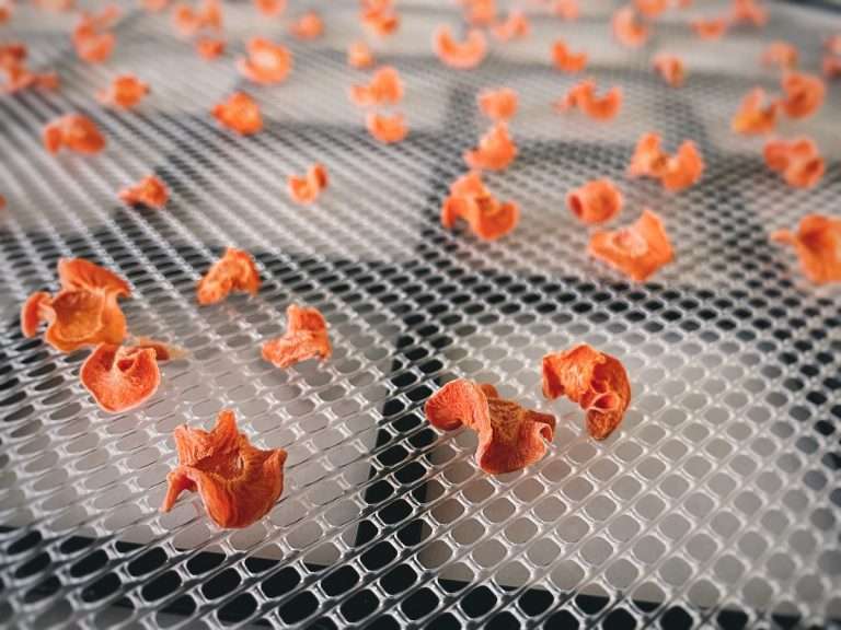 How to Make Dehydrated Carrots (EASY!)