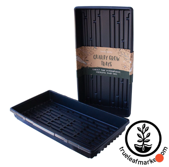 How to Grow Chicken Fodder in ONLY 7 Days!