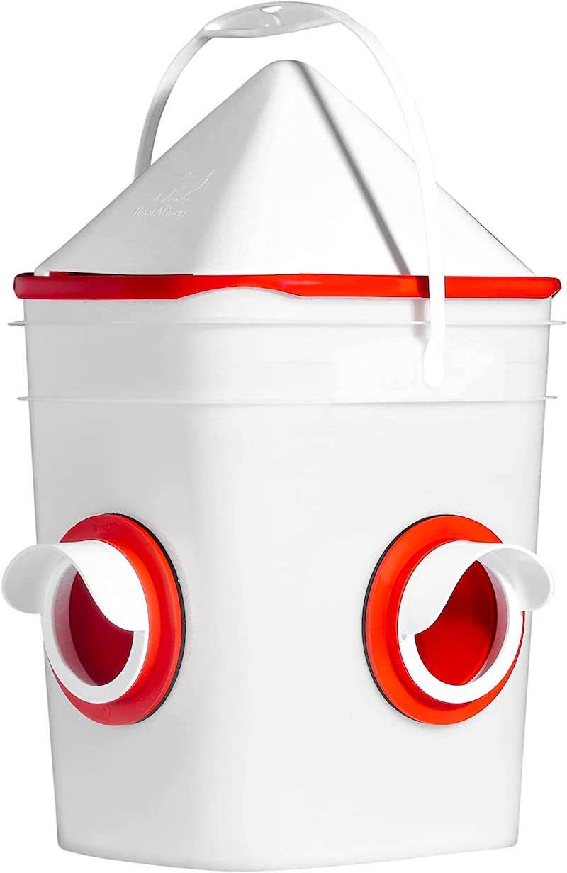 Inside a Chicken Coop: 5 Required Items (and 3 to AVOID!)