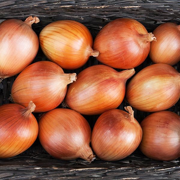 How to Braid Onions for Long-Term Storage
