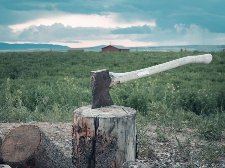 What Is Homesteading? Here’s the Inside Scoop