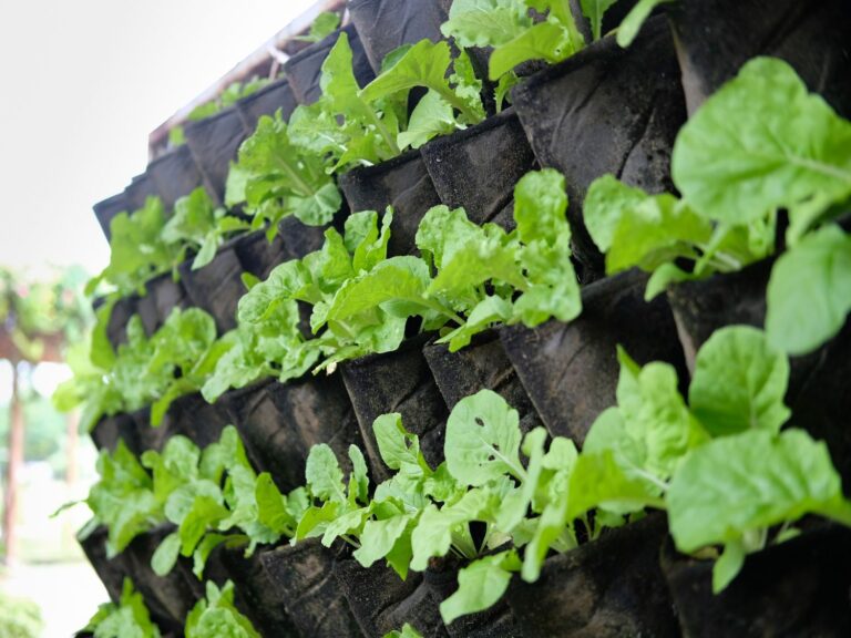 The 5 Best Vertical Garden Kits in 2025