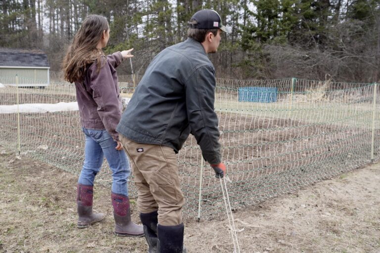 The Ultimate Beginners Guide to Homesteading (5 Steps!)