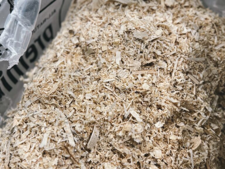 The 5 BEST Chicken Bedding Options - The Homesteading RD