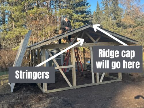 How to Build a Covered Chicken Run (Step-By-Step!)