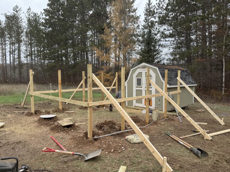 How to Build a Covered Chicken Run (Step-By-Step!)