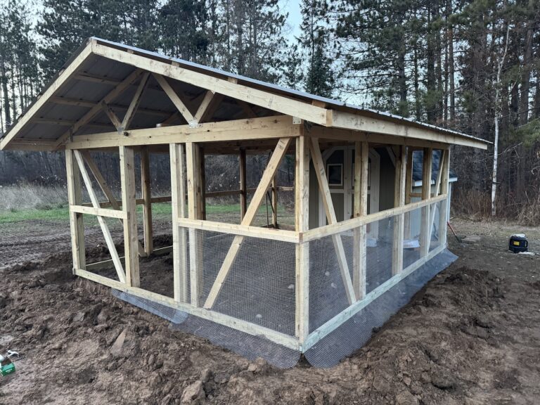 How to Build a Covered Chicken Run (Step-By-Step!)