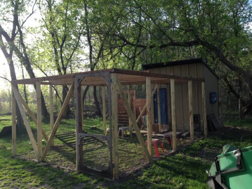 How to Build a Covered Chicken Run (Step-By-Step!)