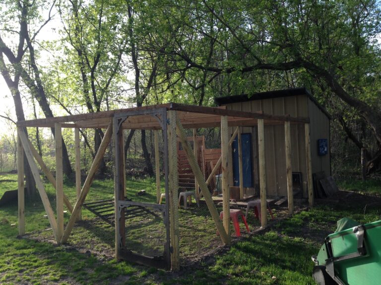 How to Build a Covered Chicken Run (Step-By-Step!)