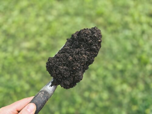 Using Mulch in the Garden: A Comprehensive Guide