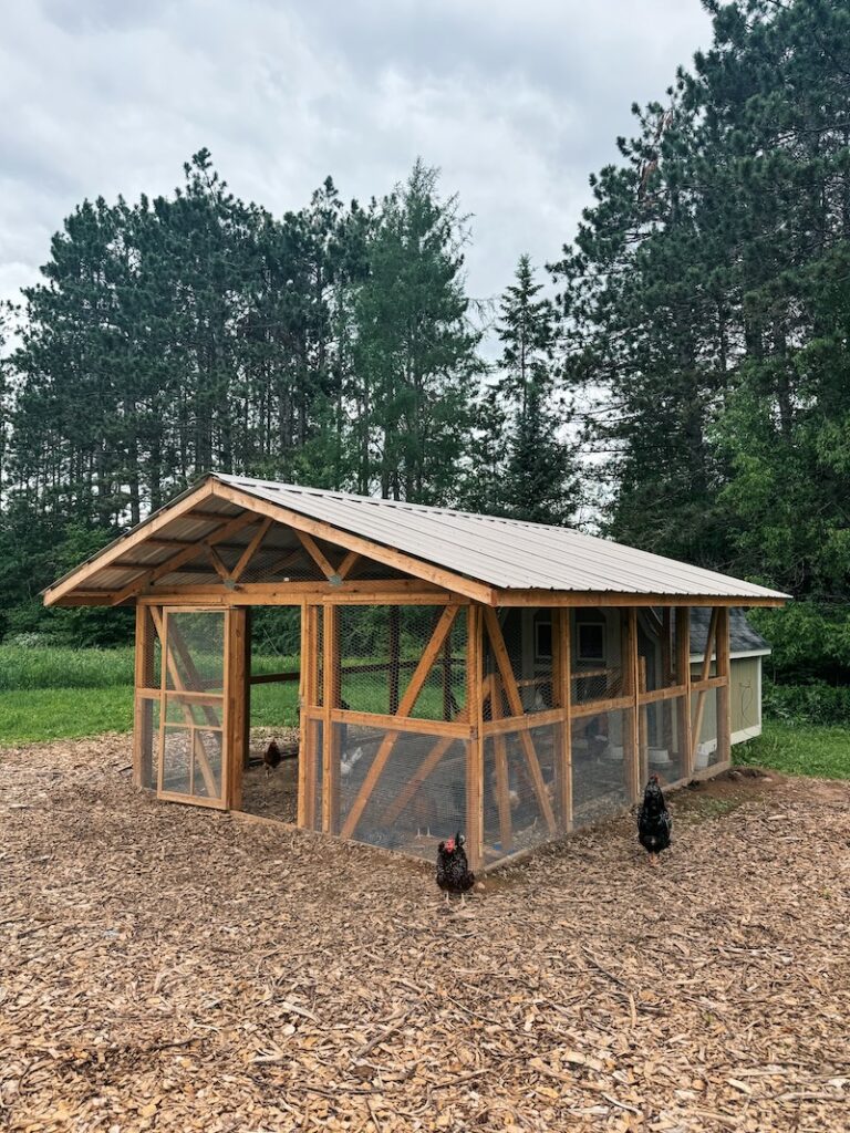 The 5 BEST Chicken Bedding Options - The Homesteading RD