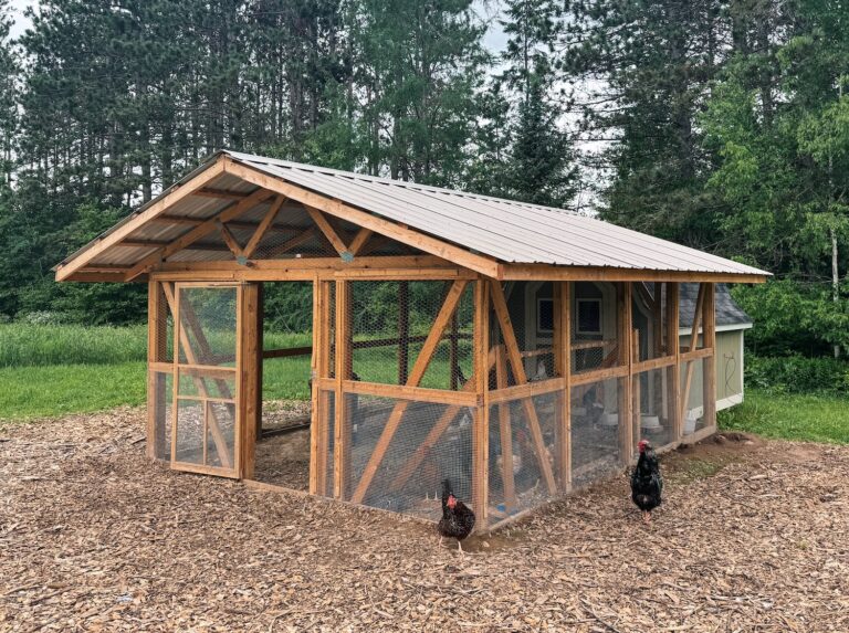 How to Build a Covered Chicken Run (Step-By-Step!)