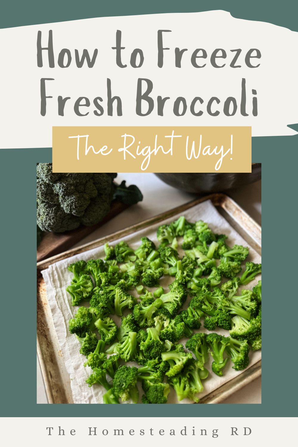 How to Freeze Fresh Broccoli (The Right Way!)