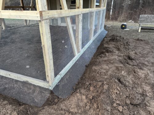 How to Predator Proof Your Chicken Coop