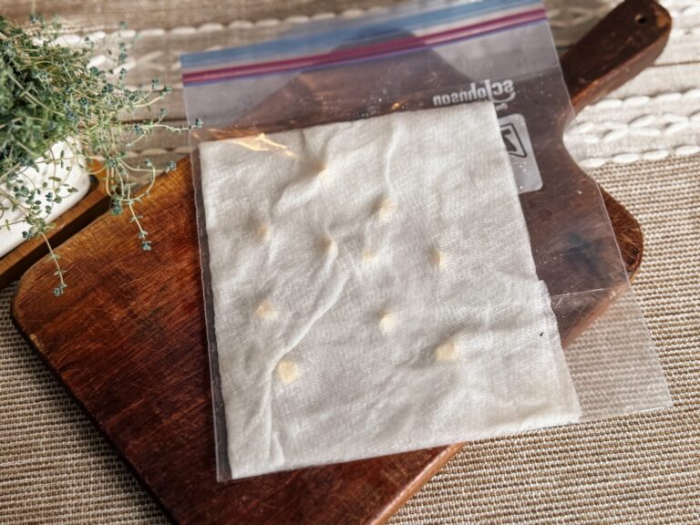 How to Test Seed Viability at Home